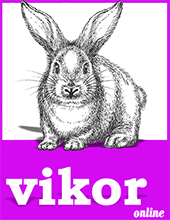 Project name | Vikor Software